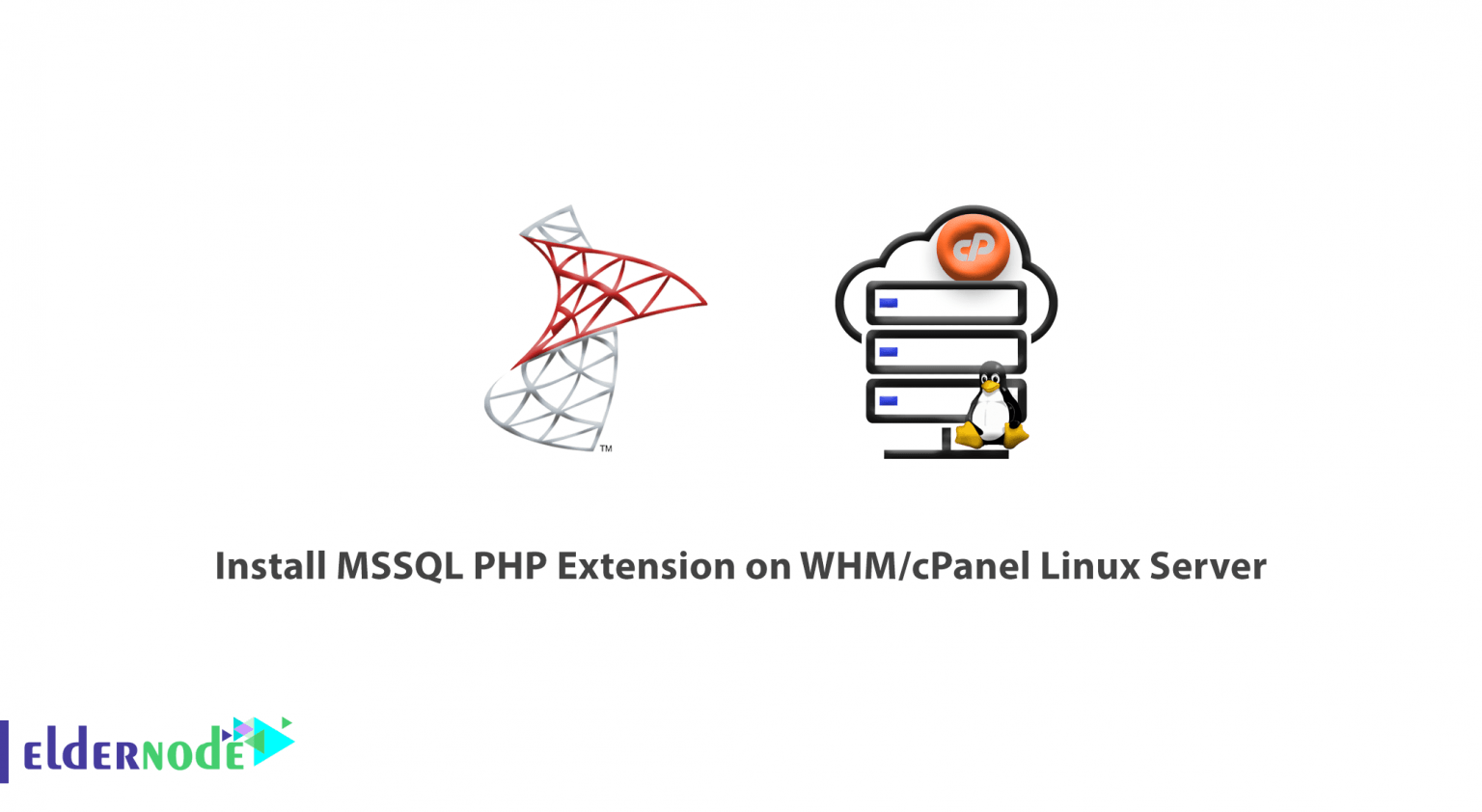 How To Install and configure NVM on Eldernode Linux | Eldernode