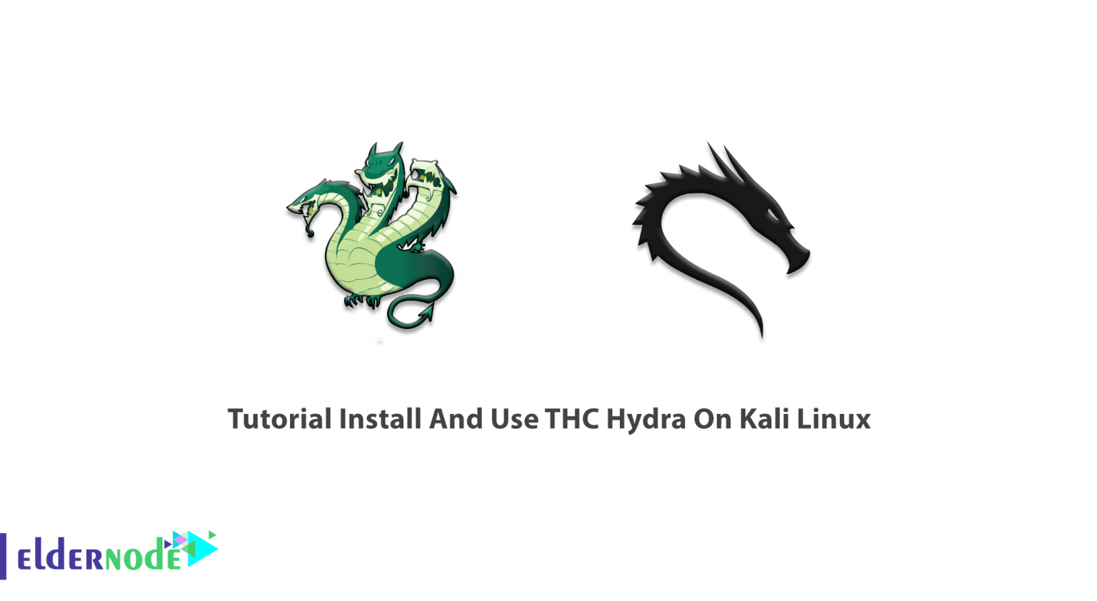 Tutorial Install And Use THC Hydra On Kali Linux - Eldernode Blog