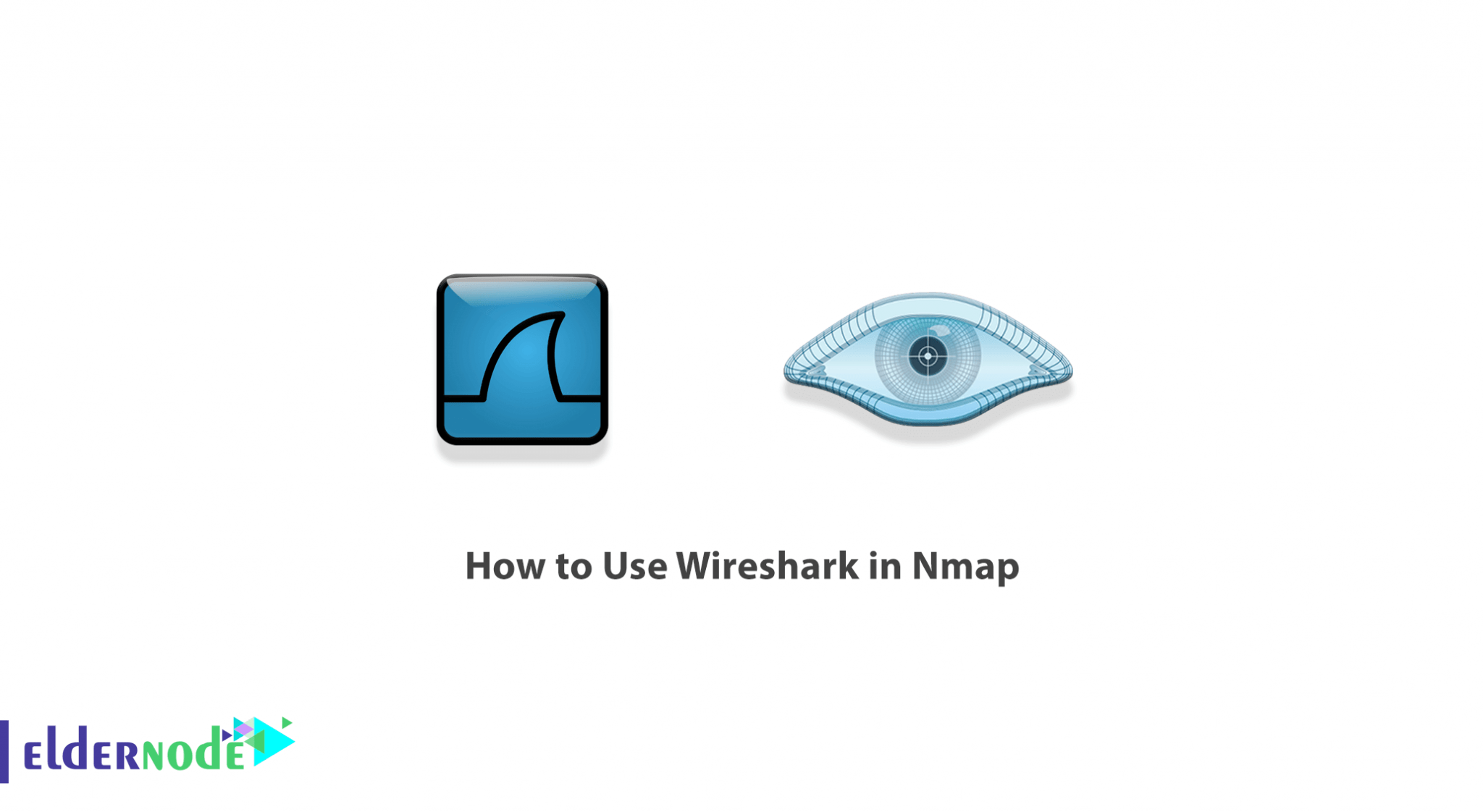 How to Use Wireshark in Nmap step by step - Eldernode Blog