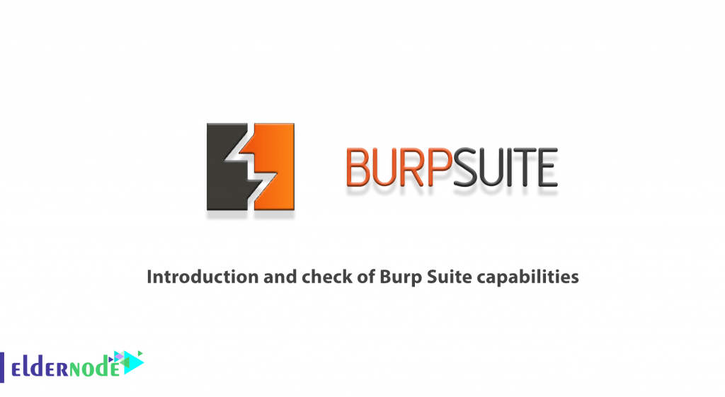 Introduction and check of Burp Suite capabilities - Eldernode Blog