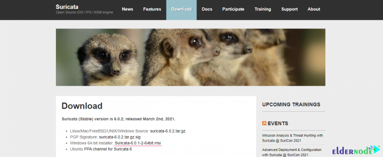 How to Install Suricata on Windows 10 RDP - Eldernode Blog