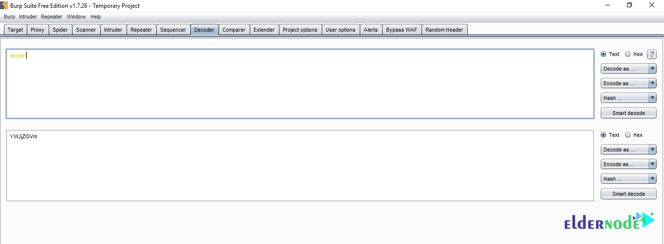 Introduction and check of Burp Suite capabilities - Eldernode Blog