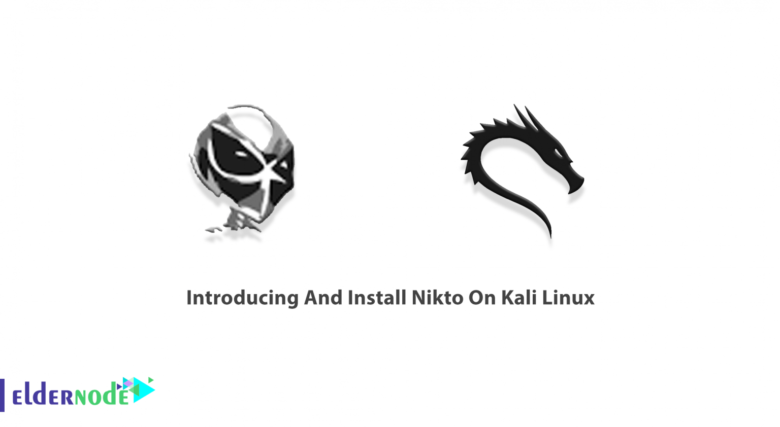 Introducing And Install Nikto On Kali Linux - Eldernode Blog
