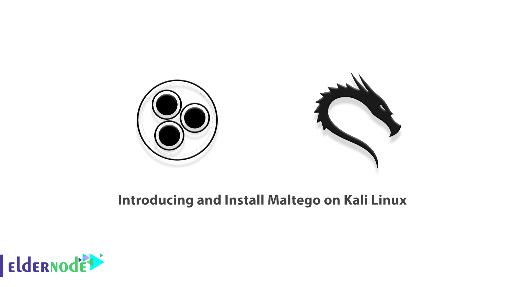 Introducing and Install Maltego on Kali Linux - Eldernode Blog